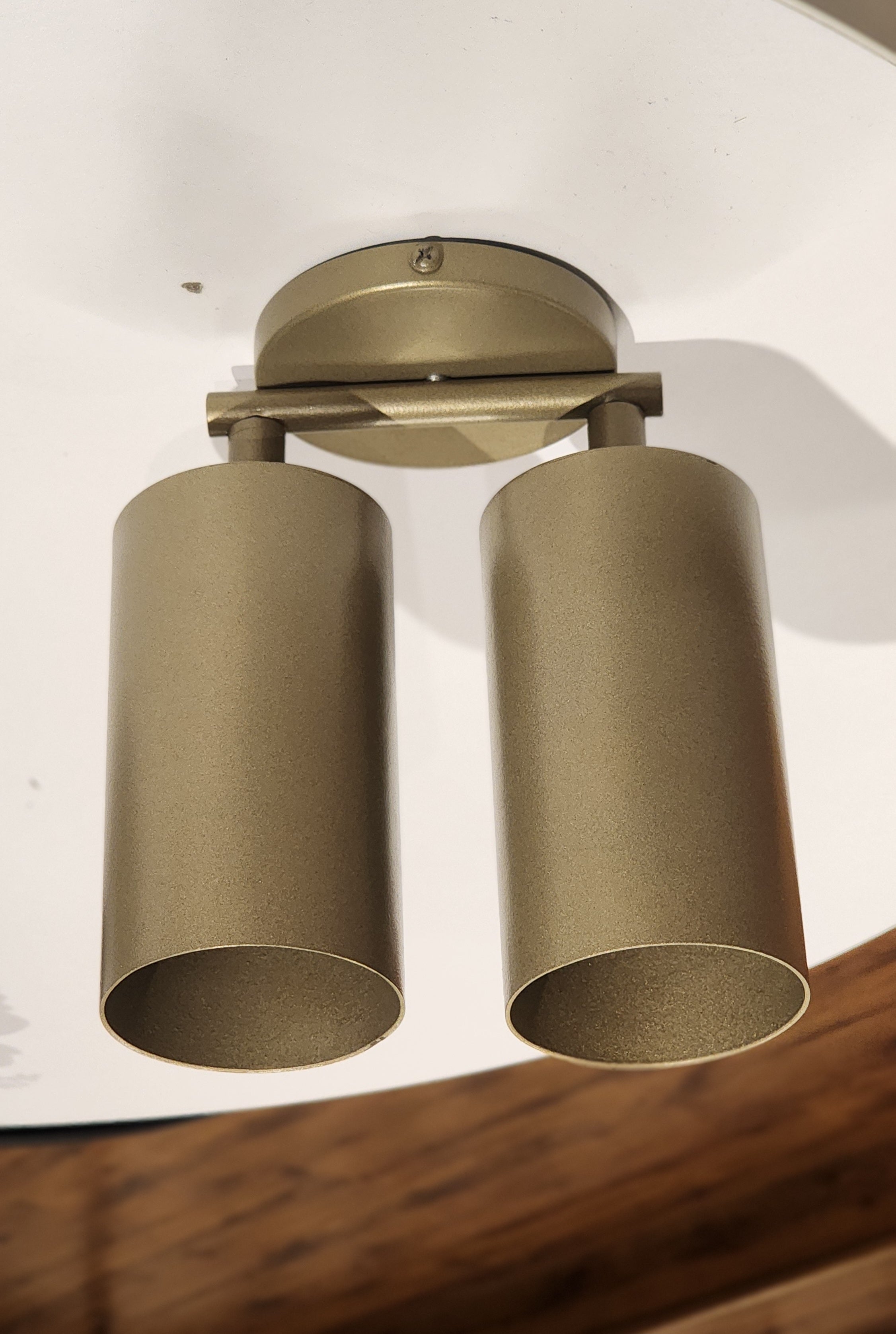 CLH172 Beige Dual Spot Ceiling Light – The Black Steel